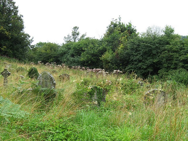 Rains and ruins: A visit to Tintern Abbey – My Favourite Things