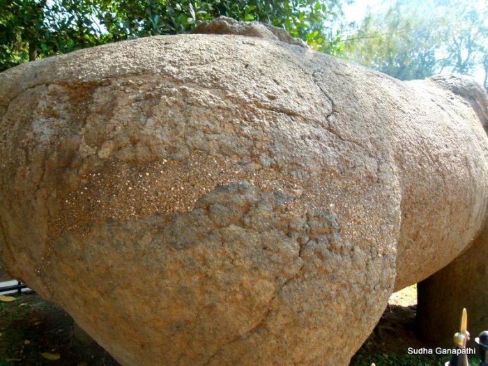 The Elephant of Elephanta – My Favourite Things