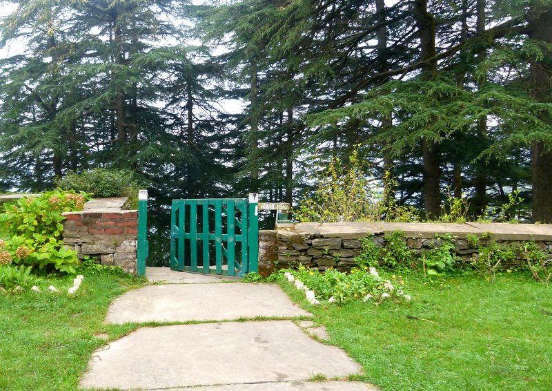 Charming Chail Palace – My Favourite Things
