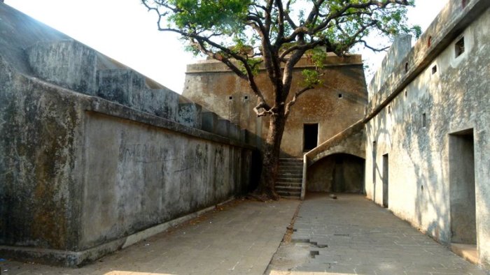 The Sewri Fort – My Favourite Things