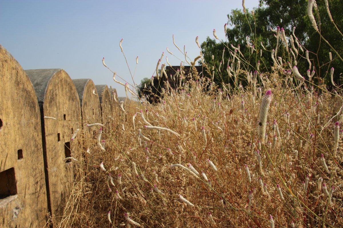 Forts of Rajasthan — 6: Gagron Fort of Jhalawar – My Favourite Things