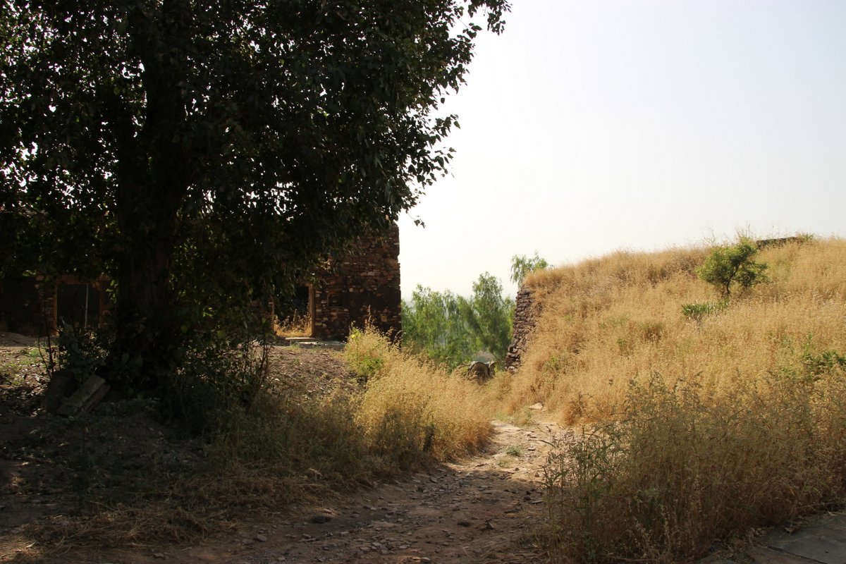 Forts of Rajasthan — 6: Gagron Fort of Jhalawar – My Favourite Things