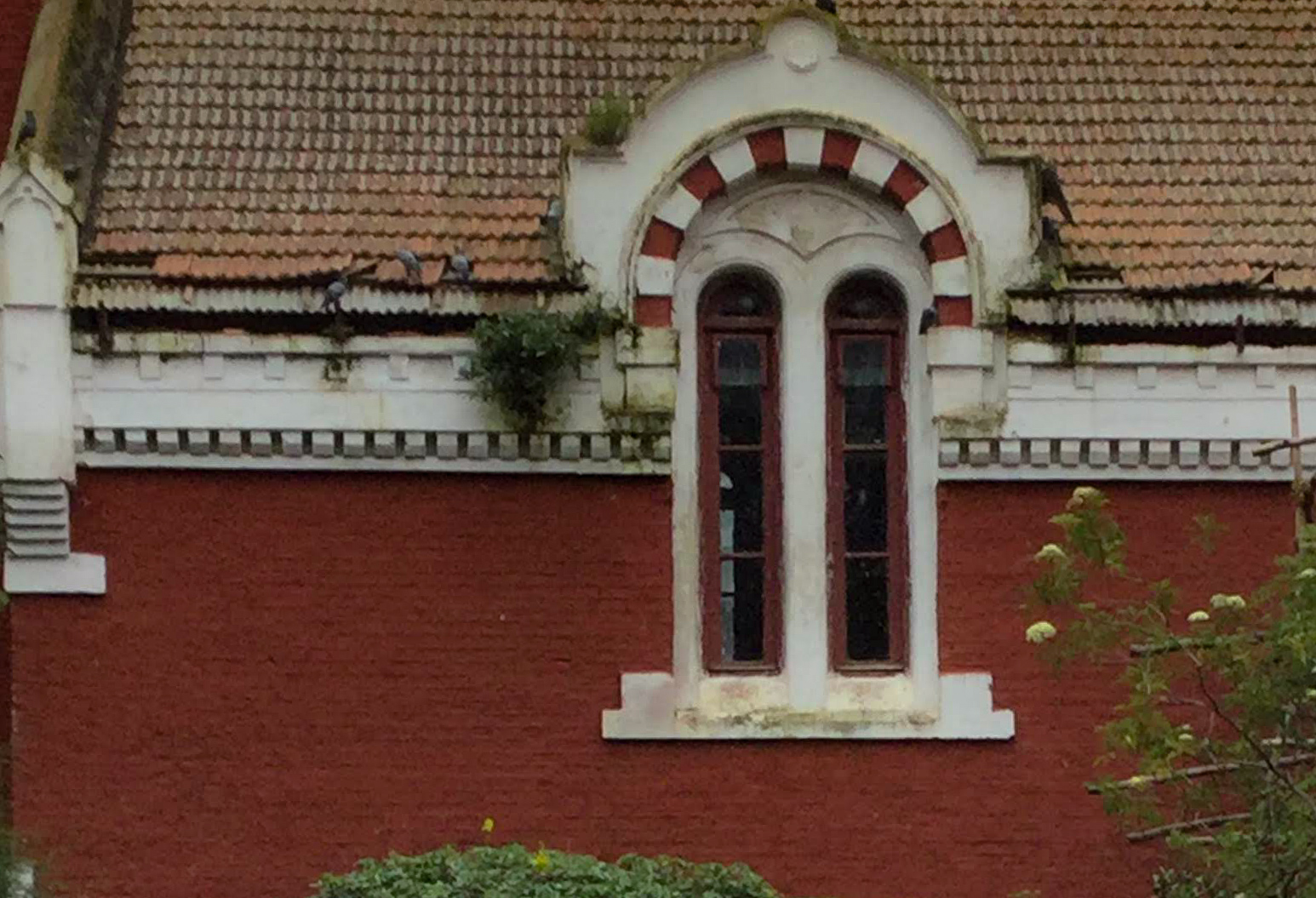 Travel Shot: The Nilgiri Library – My Favourite Things