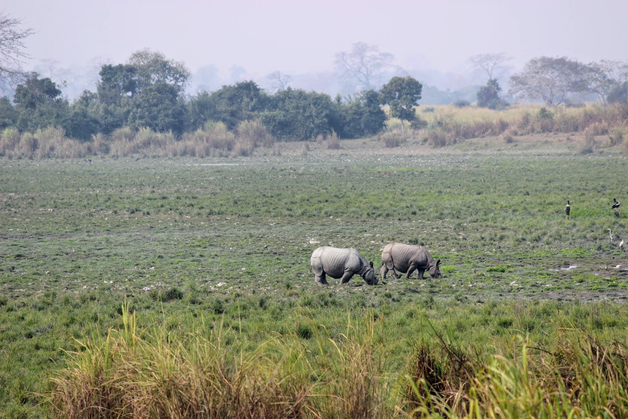 Dear Assam – My Favourite Things